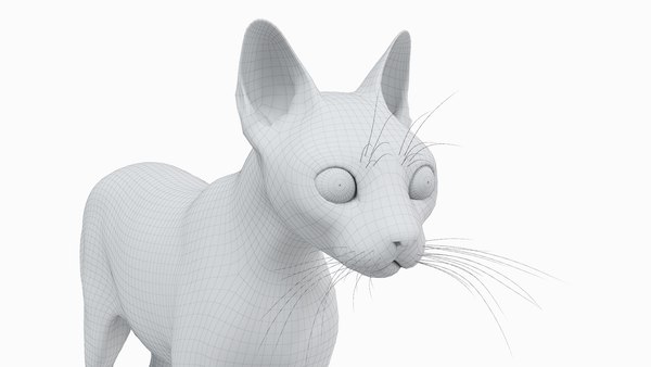 3D cat body skeleton static model - TurboSquid 1696267