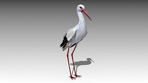 Free 3D Stork Models | TurboSquid