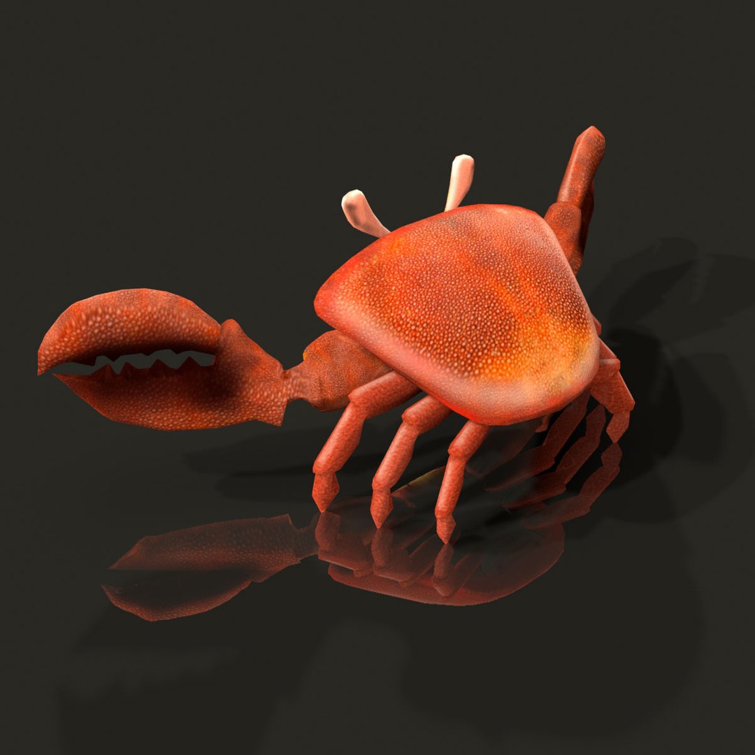 3d Model Crab 4