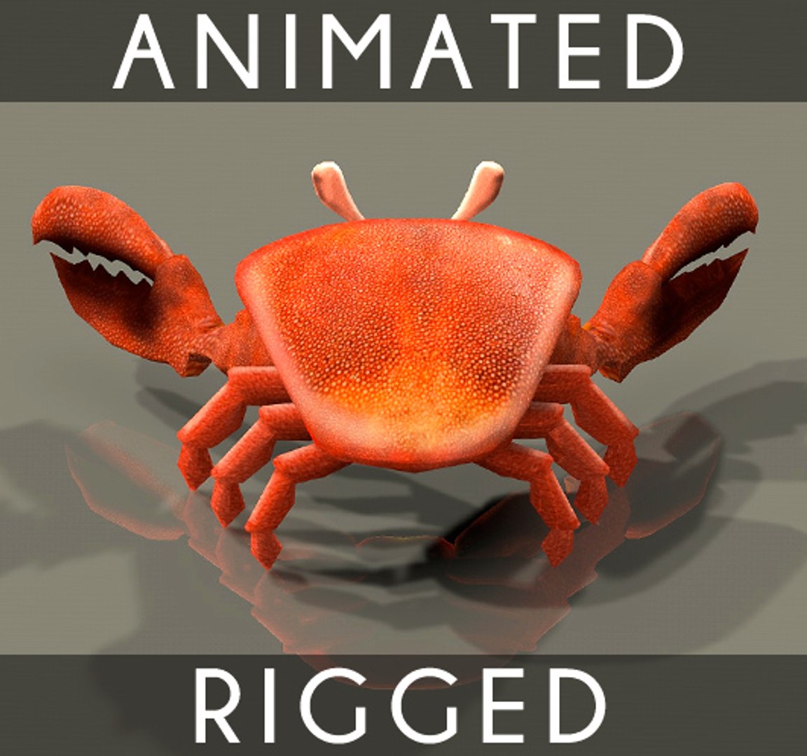 3d Model Crab 4