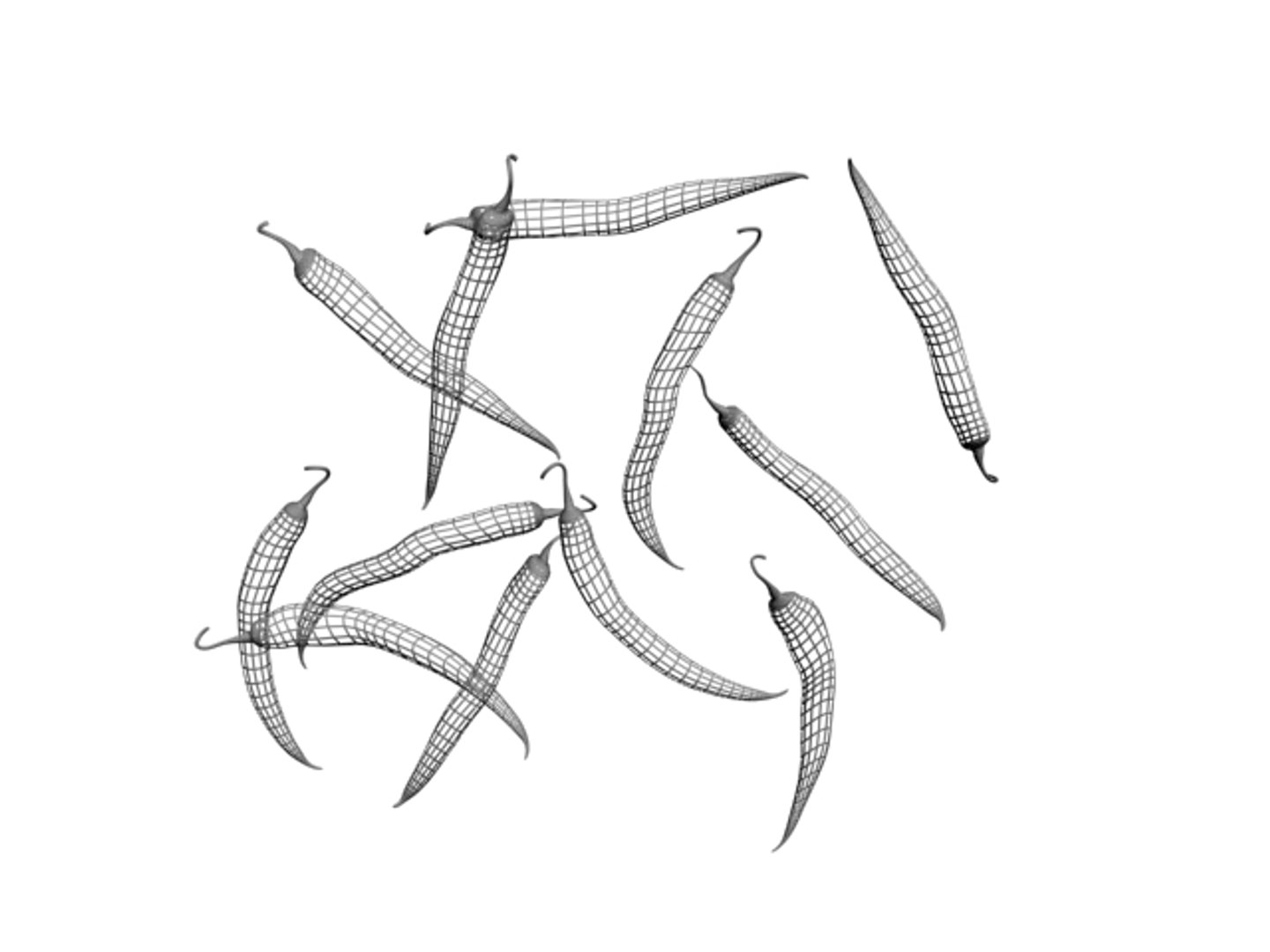 Red Chilli 3D Model - TurboSquid 1449023