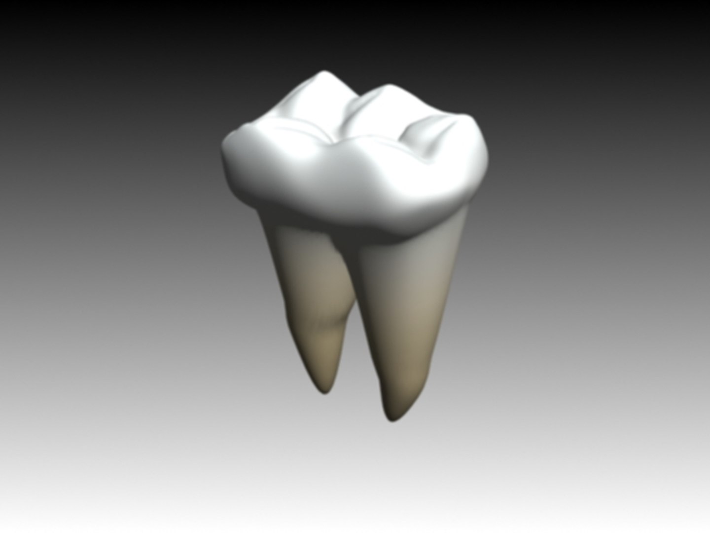 Molar Mandibular 3d Max