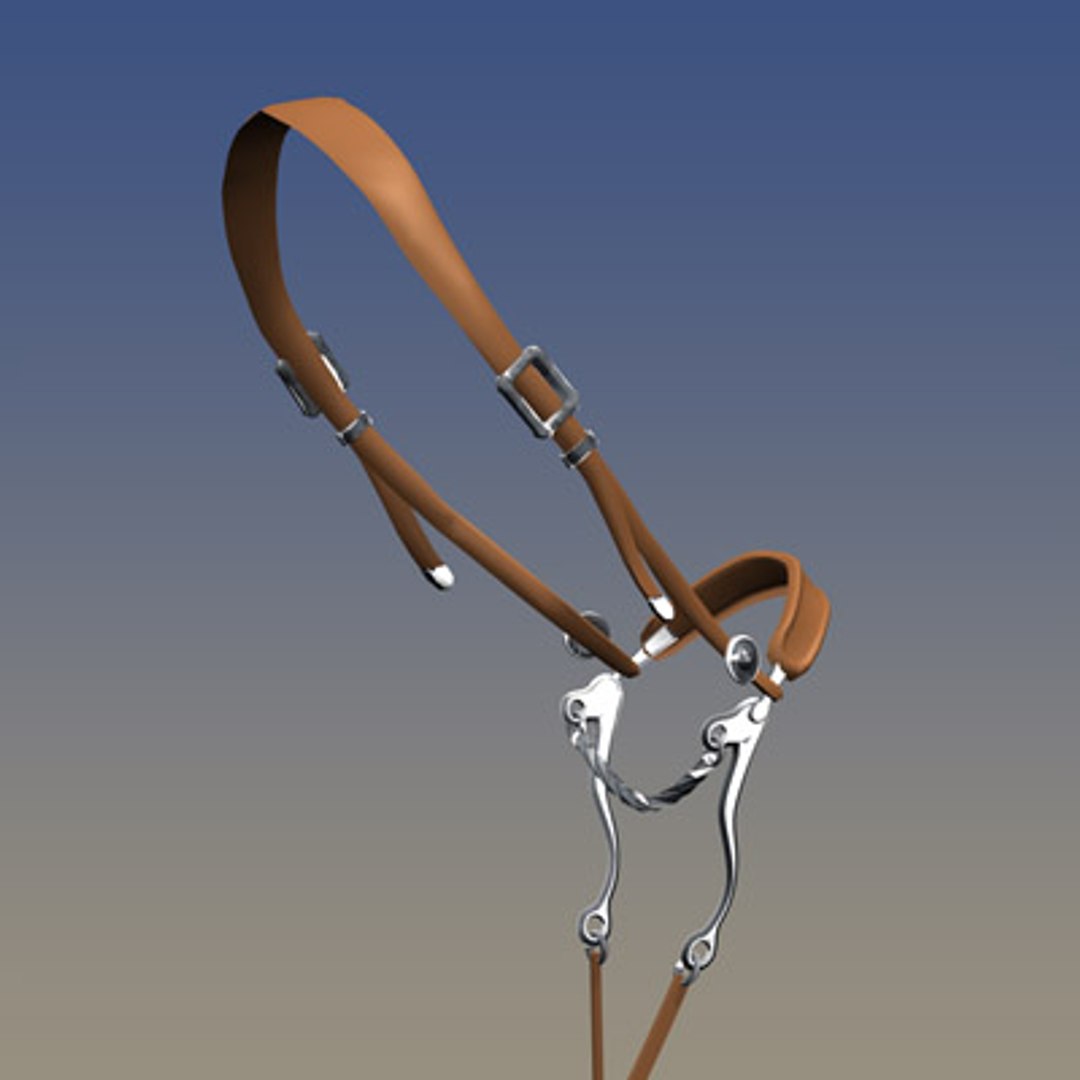 Horses Western Riding 3d X