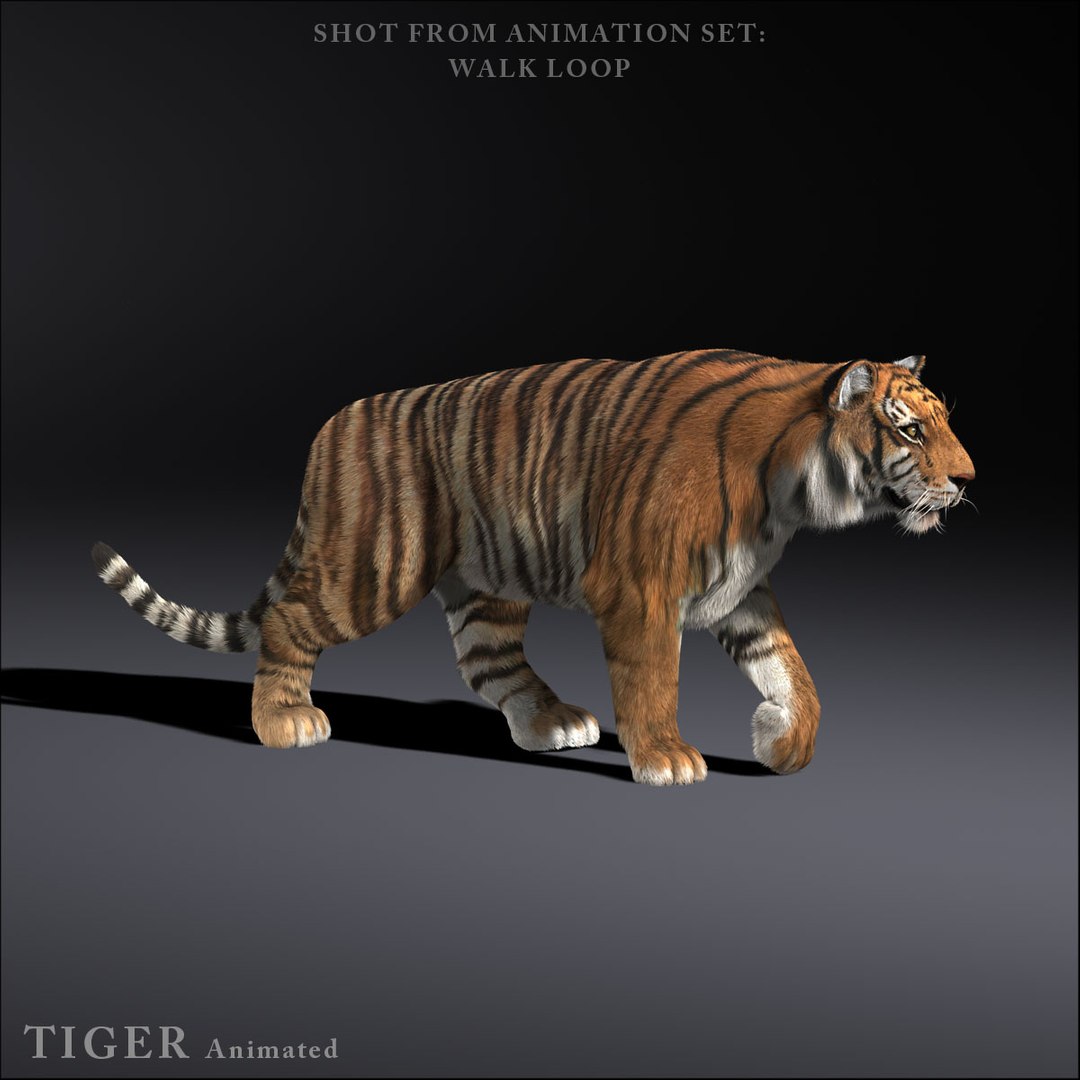 Tigers Fur 3d Model
