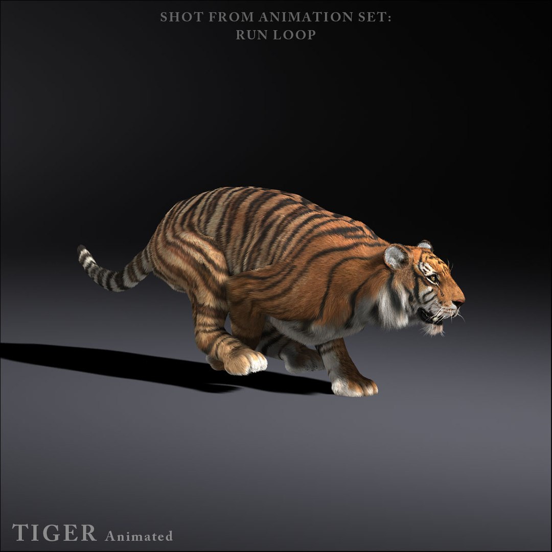 Tigers Fur 3d Model