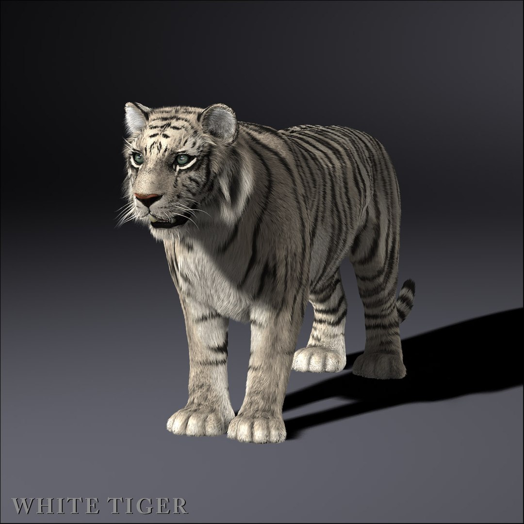 Tigers Fur 3d Model