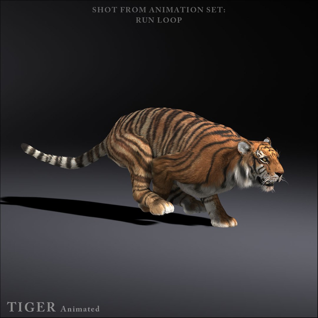 Tigers Fur 3d Model