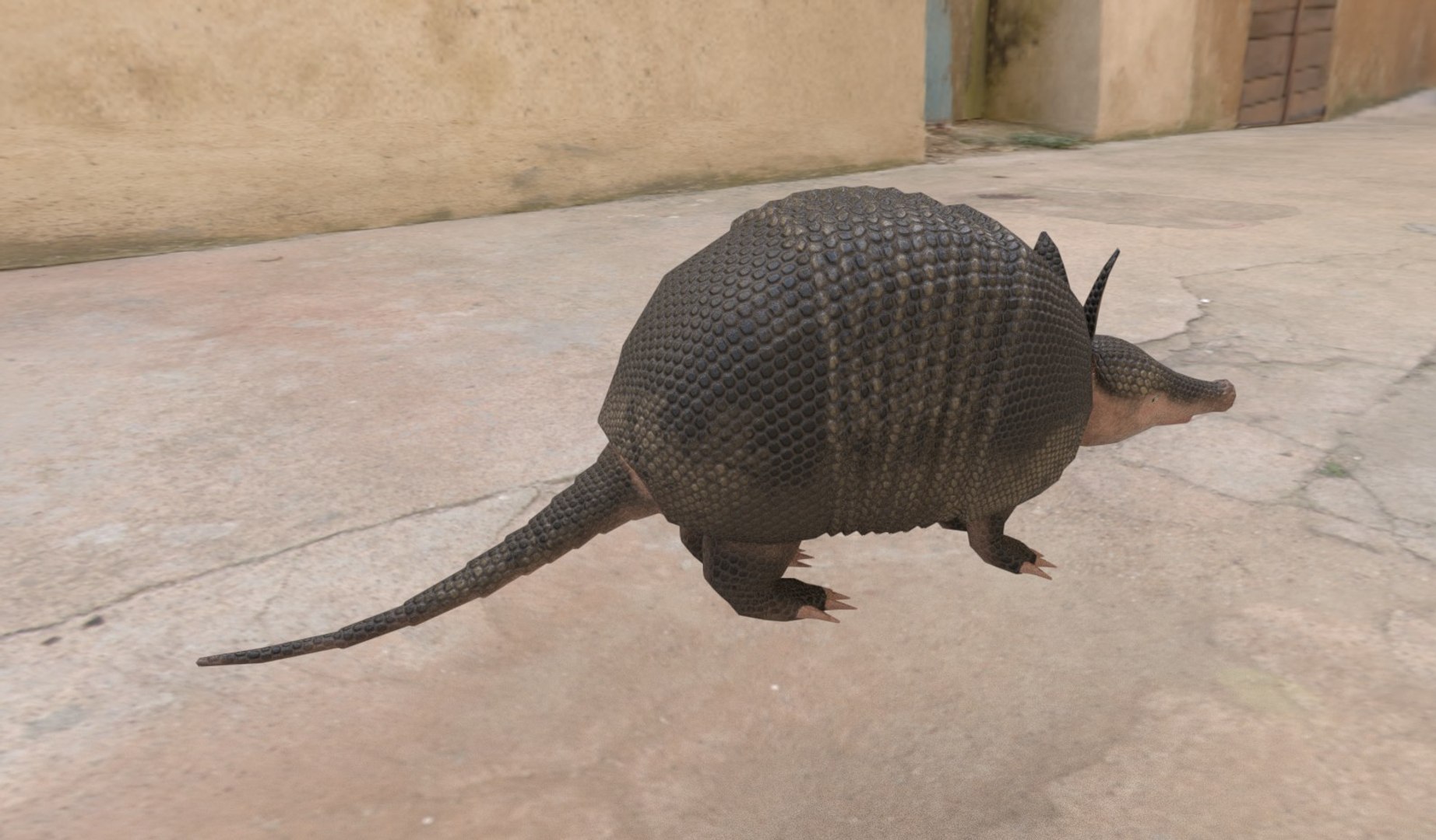 Armadillo 3D Model - TurboSquid 1210719