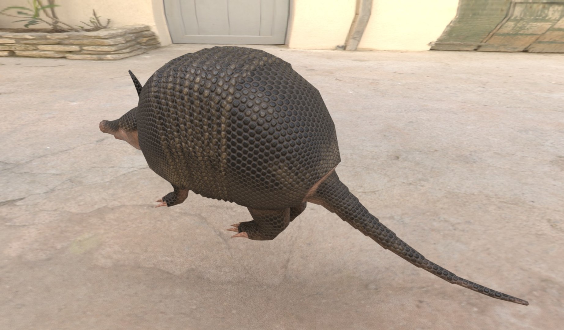 Armadillo 3D Model - TurboSquid 1210719