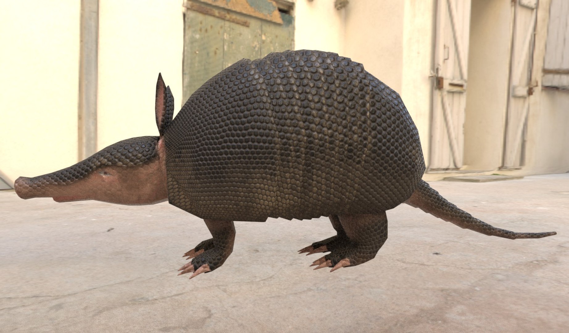 Armadillo 3D Model - TurboSquid 1210719