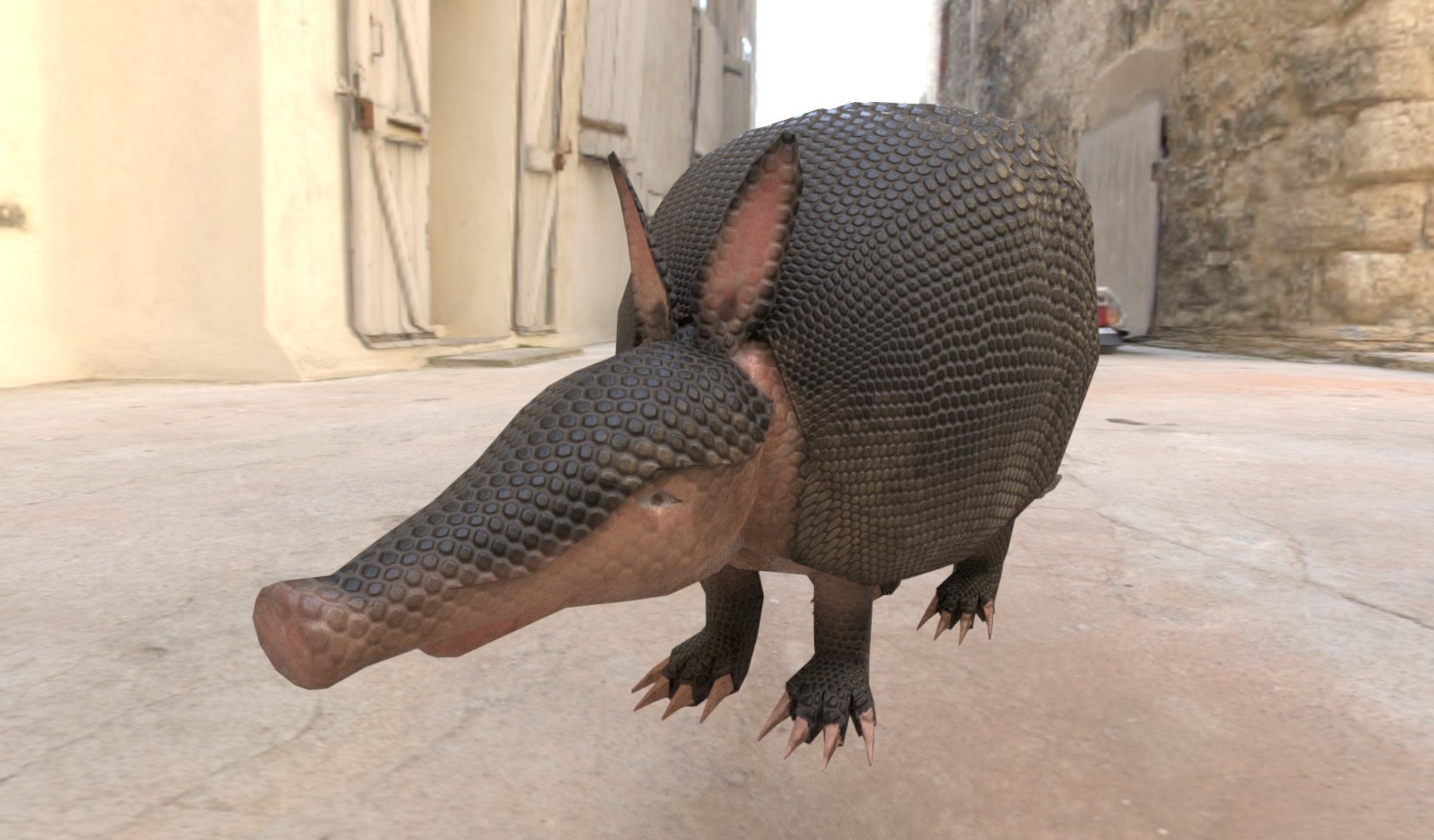 Armadillo 3D Model - TurboSquid 1210719