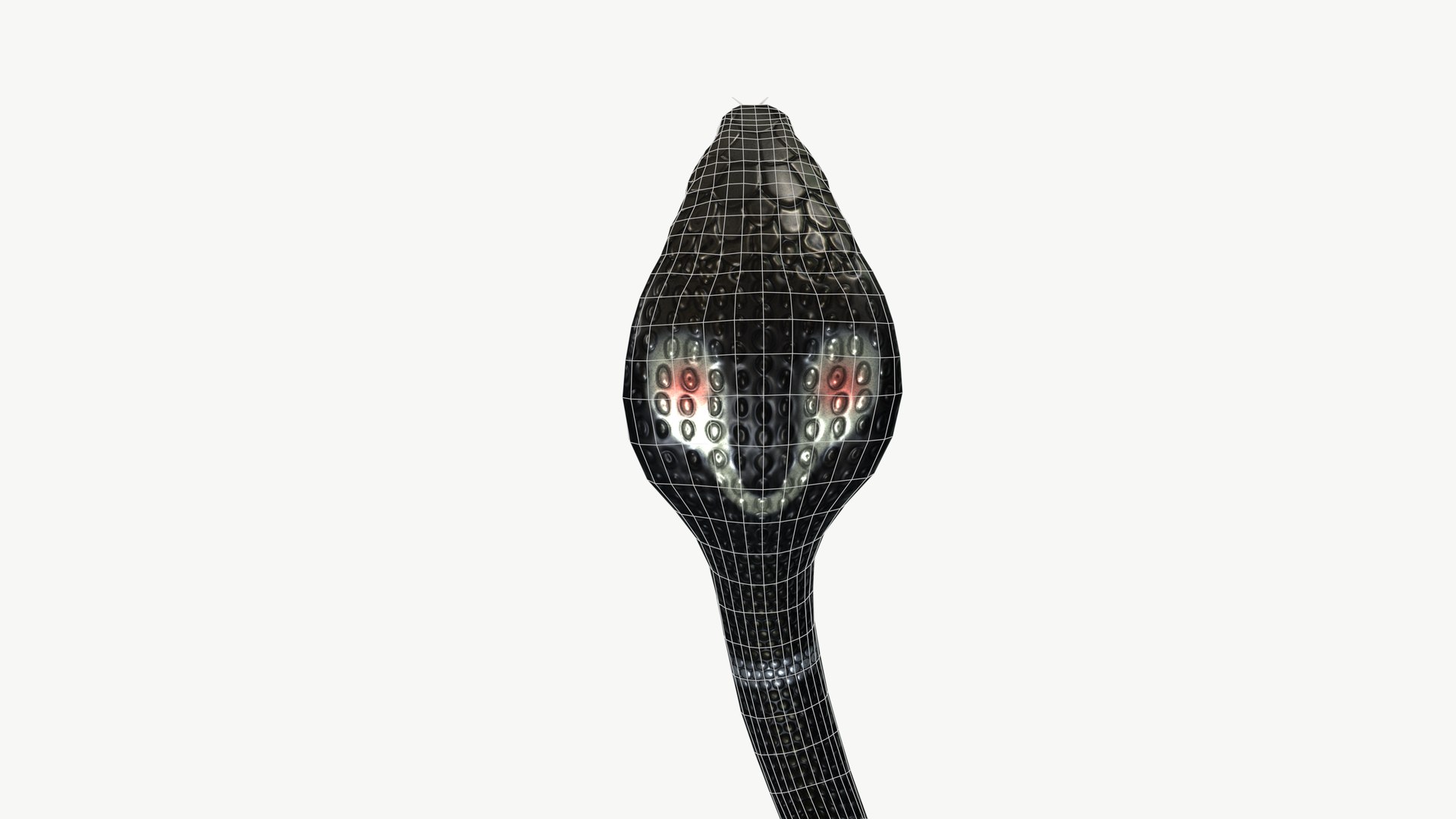 Snake King Cobra Model - TurboSquid 2331314