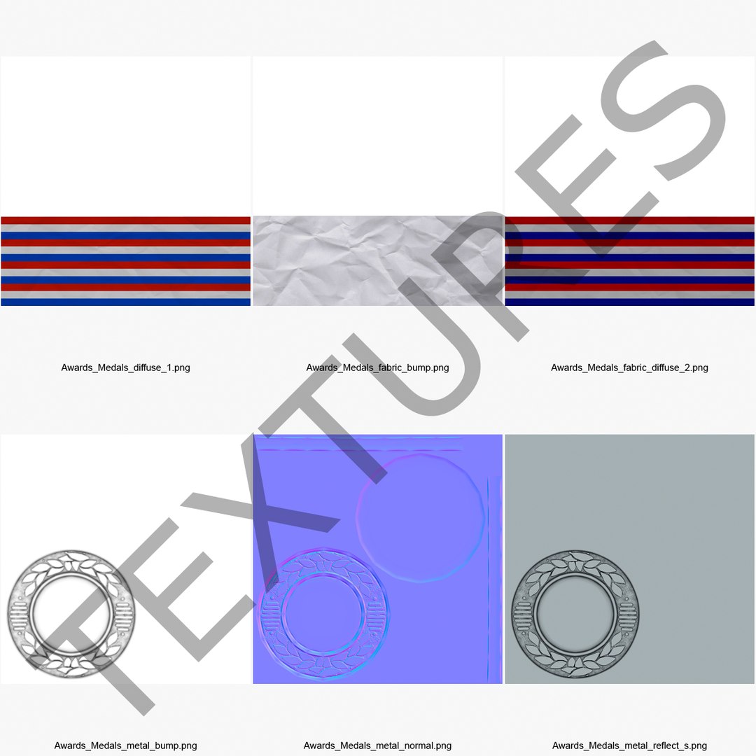 3d Model Award Medal 4 Silver