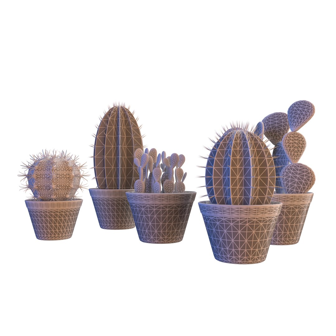 High-Quality Potted Cactus Models Model - TurboSquid 2247971