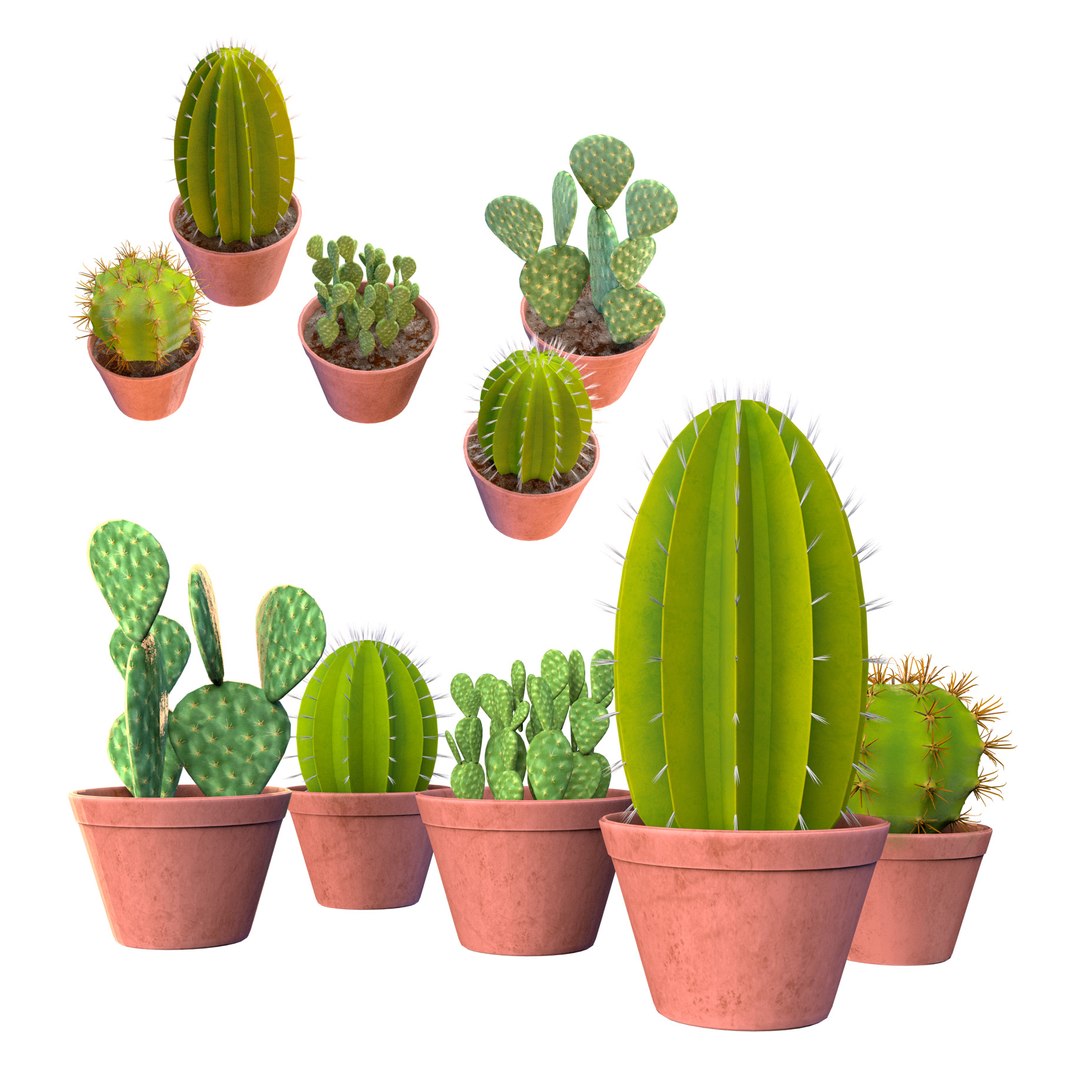 High-Quality Potted Cactus Models Model - TurboSquid 2247971