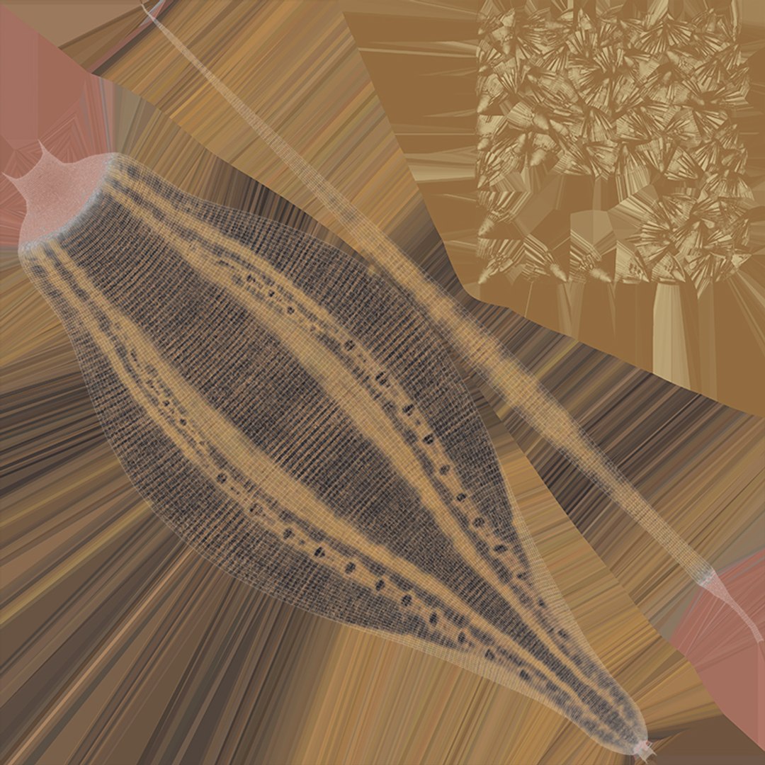 Leech Rigged Animations 3D Model - TurboSquid 1540349