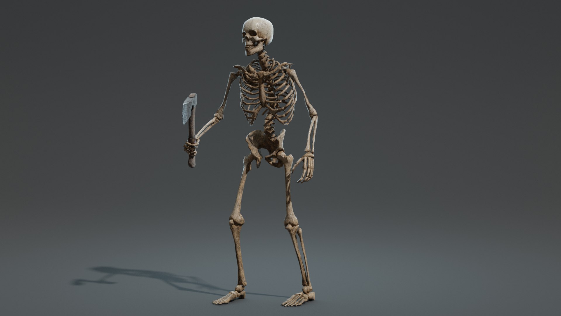 3D Skeleton Mega Pack model - TurboSquid 1873200