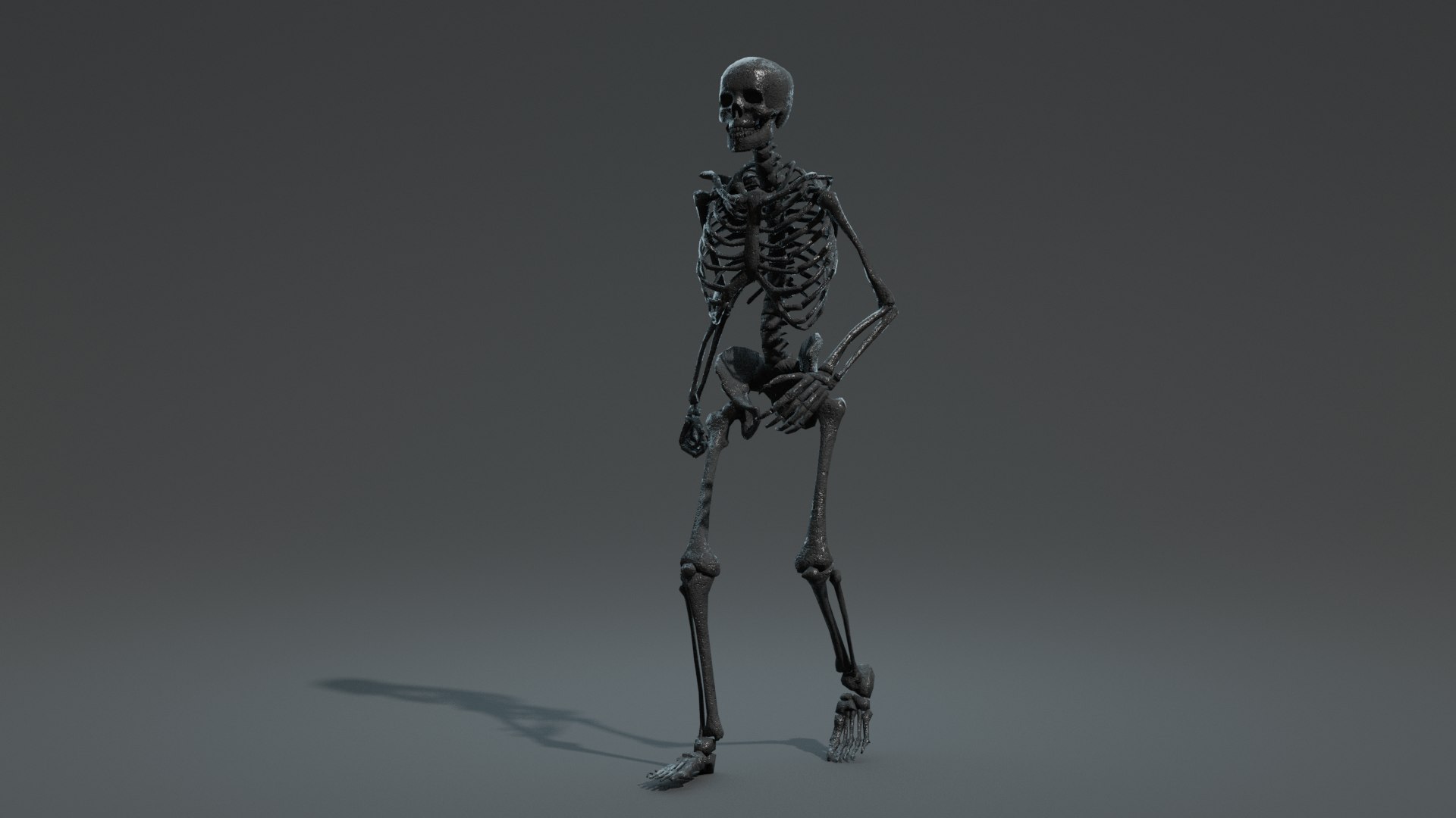 3D Skeleton Mega Pack model - TurboSquid 1873200