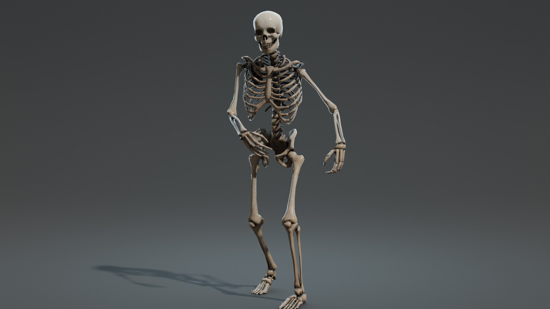3D Skeleton Mega Pack model - TurboSquid 1873200