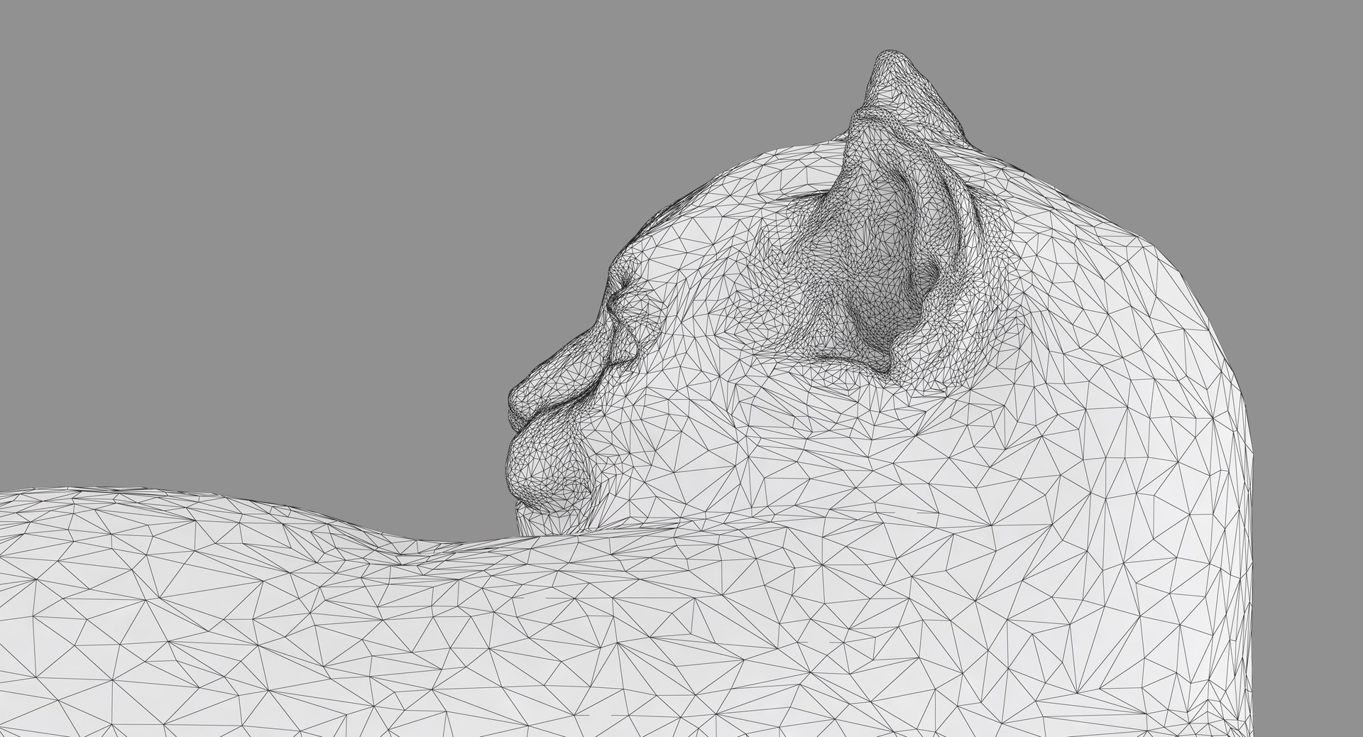 3D Cat Abyssinian Model - TurboSquid 1365971