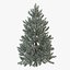 Snow Fir Tree 3d Model