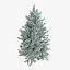 Snow Fir Tree 3d Model