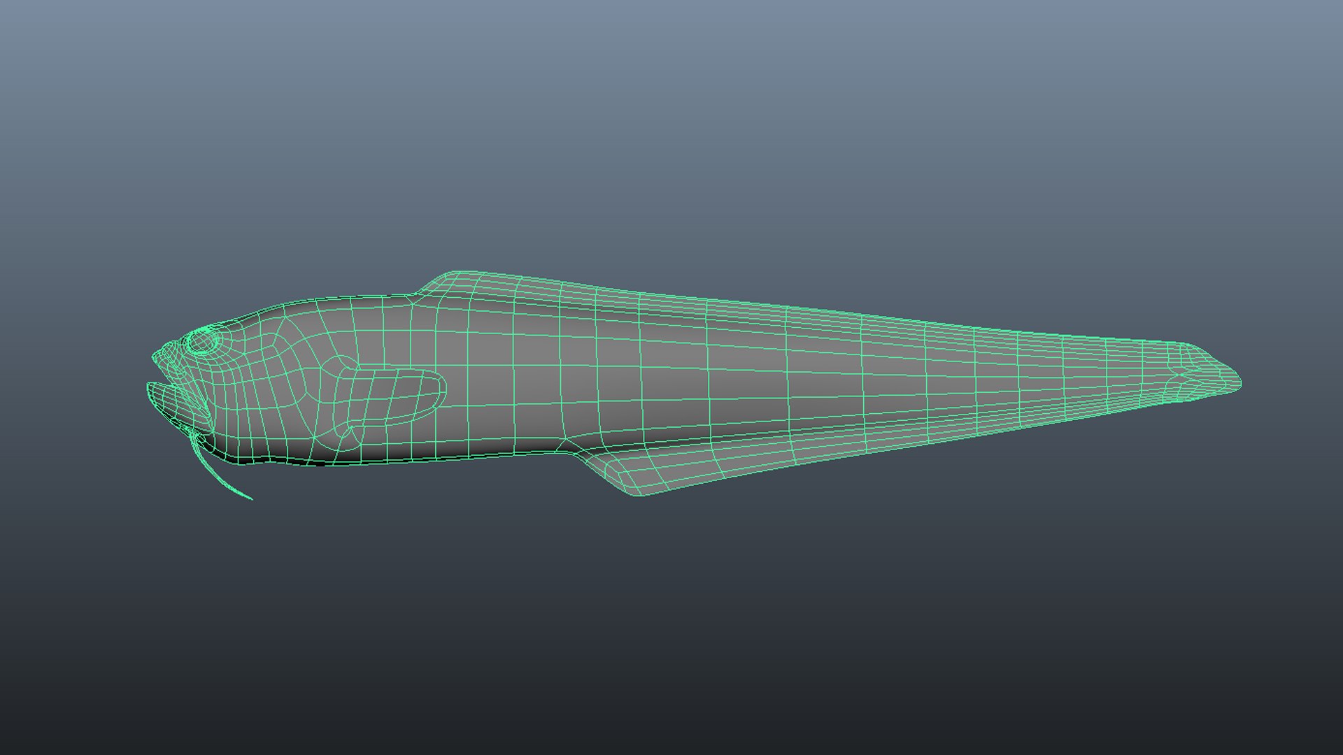 3D Model Eel And Lamprey Collection - TurboSquid 1811852