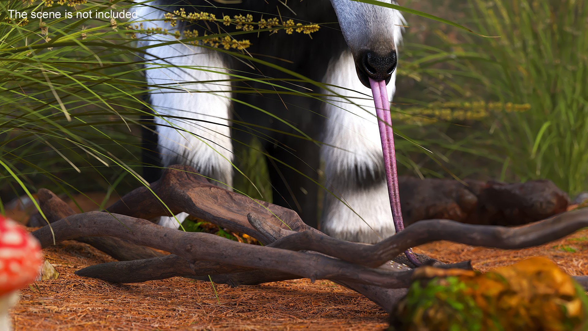 Anteater Eats Termites From Branches Fur 3D - TurboSquid 2337751