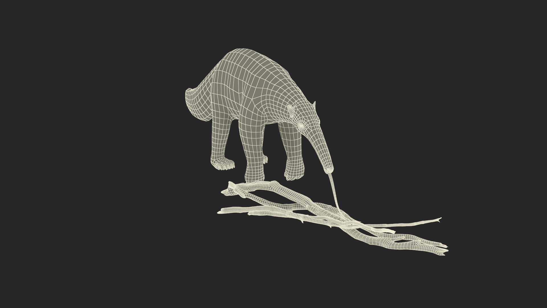 Anteater Eats Termites From Branches Fur 3D - TurboSquid 2337751