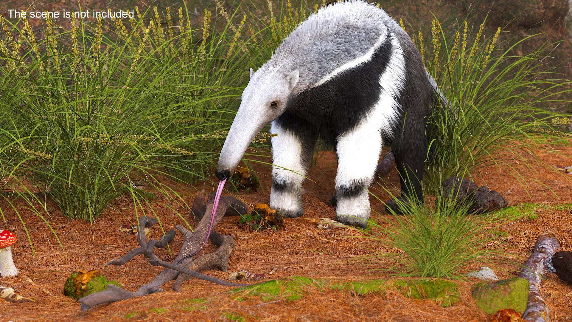 Anteater Eats Termites From Branches Fur 3D - TurboSquid 2337751