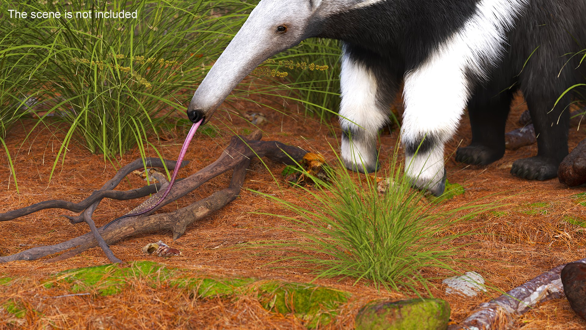 Anteater Eats Termites From Branches Fur 3D - TurboSquid 2337751