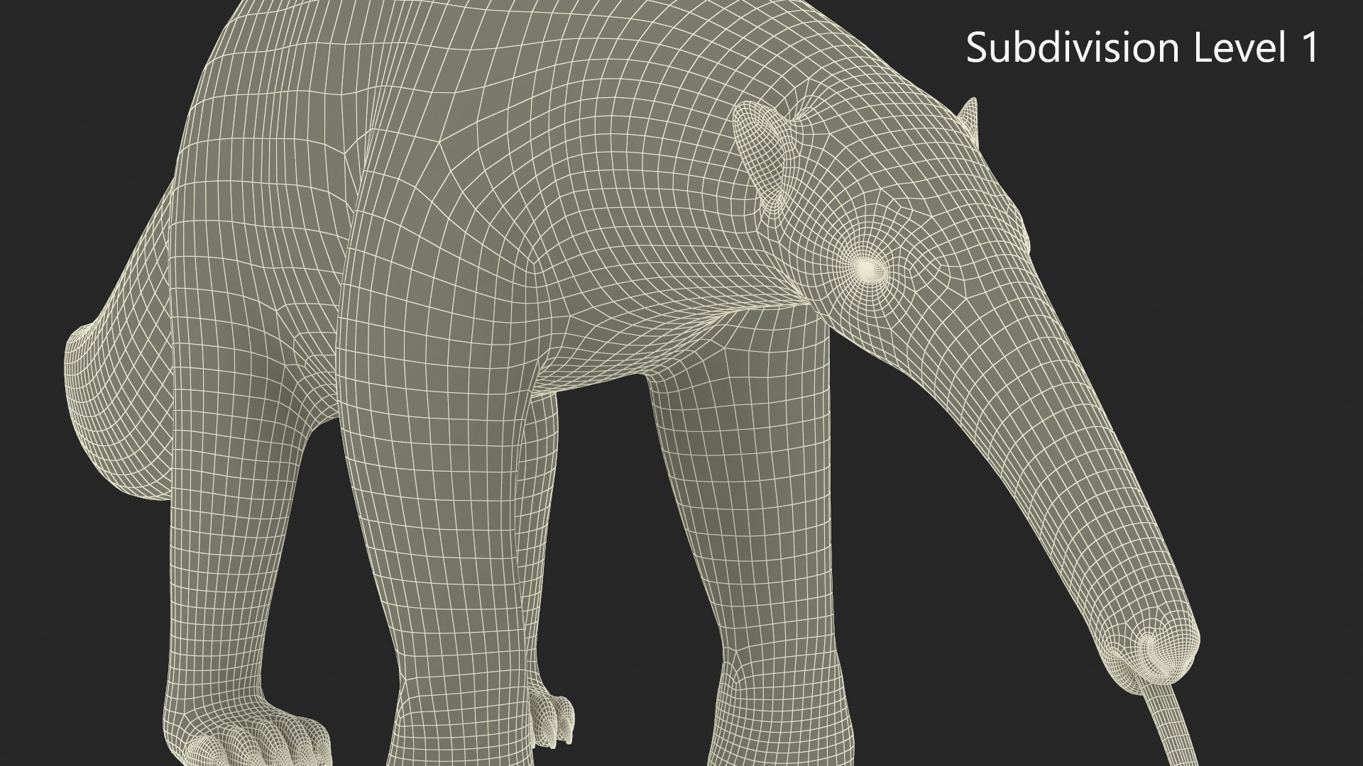 Anteater Eats Termites From Branches Fur 3D - TurboSquid 2337751