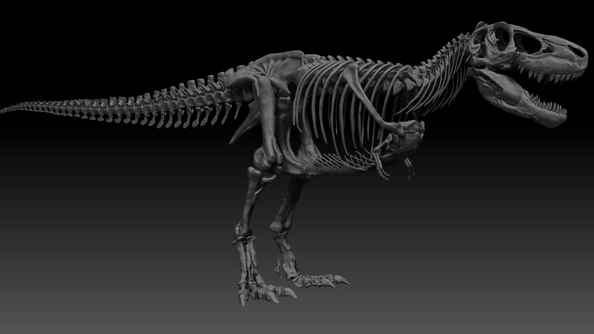 Tarbosaurus Bataar Full Set 3D - TurboSquid 1902250