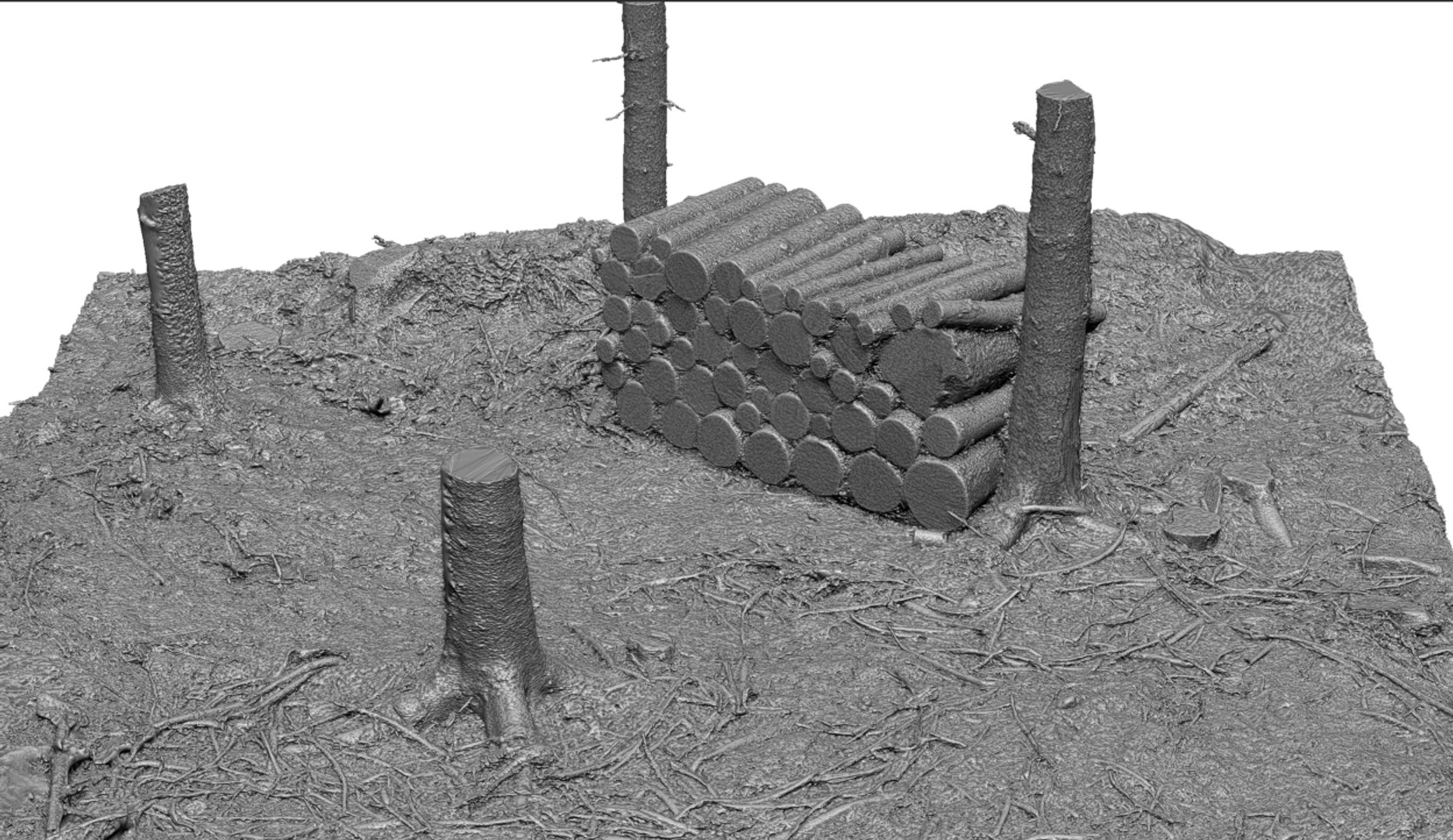 Forest Camping Scan Pack 3D Model - TurboSquid 1597275