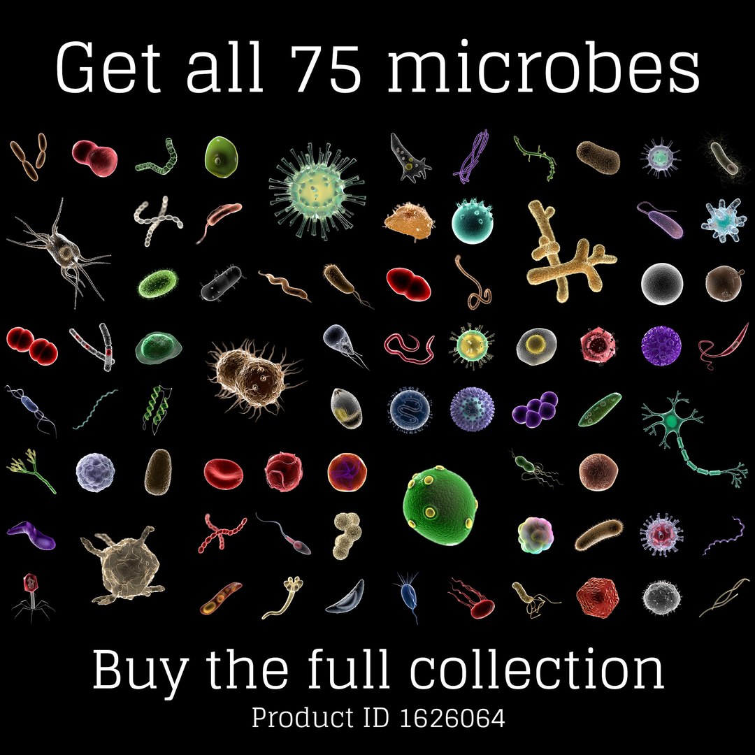 3D Model Microbes Bacteria Cells - TurboSquid 1626173
