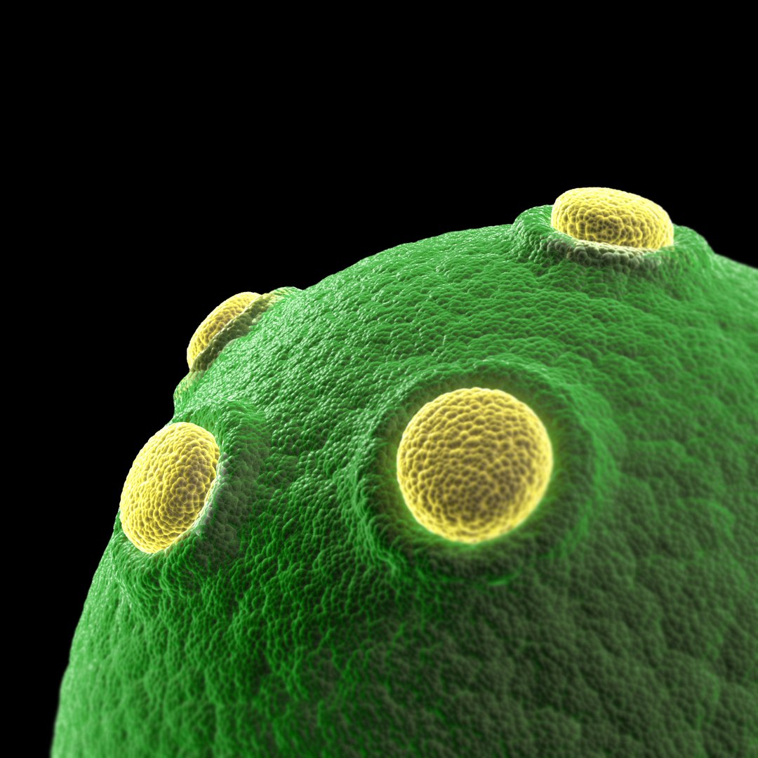 3D Model Microbes Bacteria Cells - TurboSquid 1626173