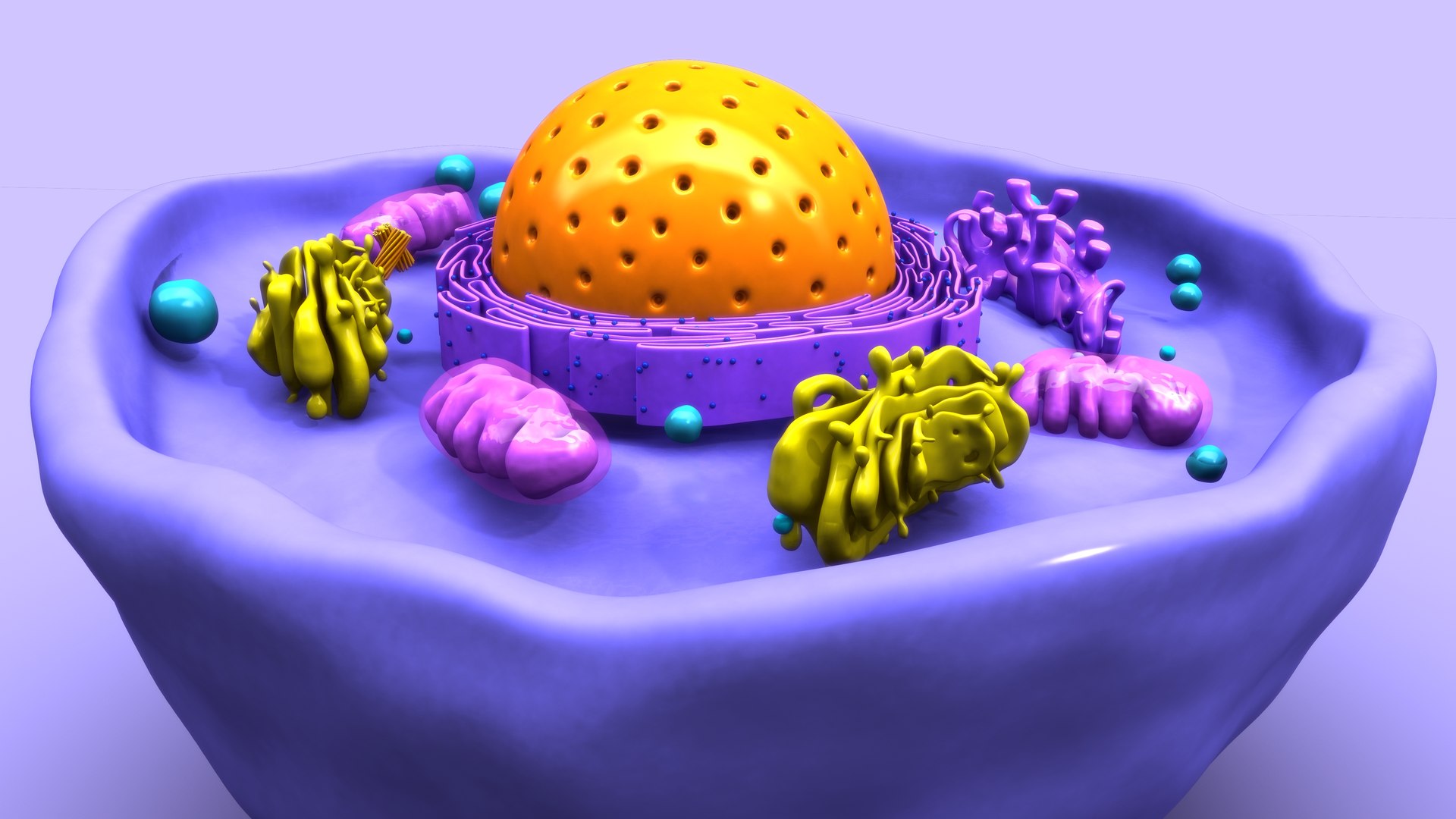 3D Animal Cell Cross Section Model - TurboSquid 2184668