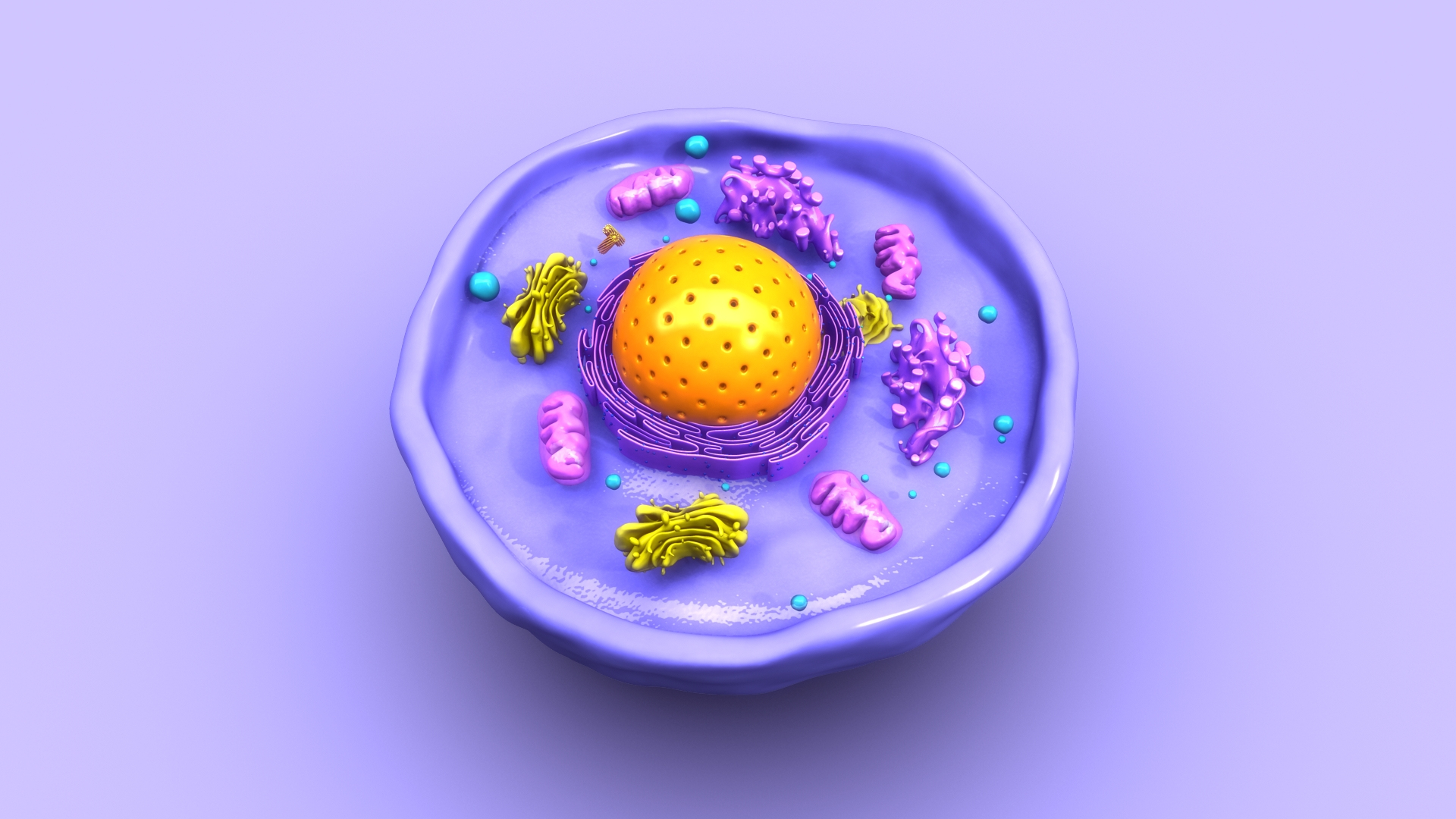 3D Animal Cell Cross Section Model - TurboSquid 2184668