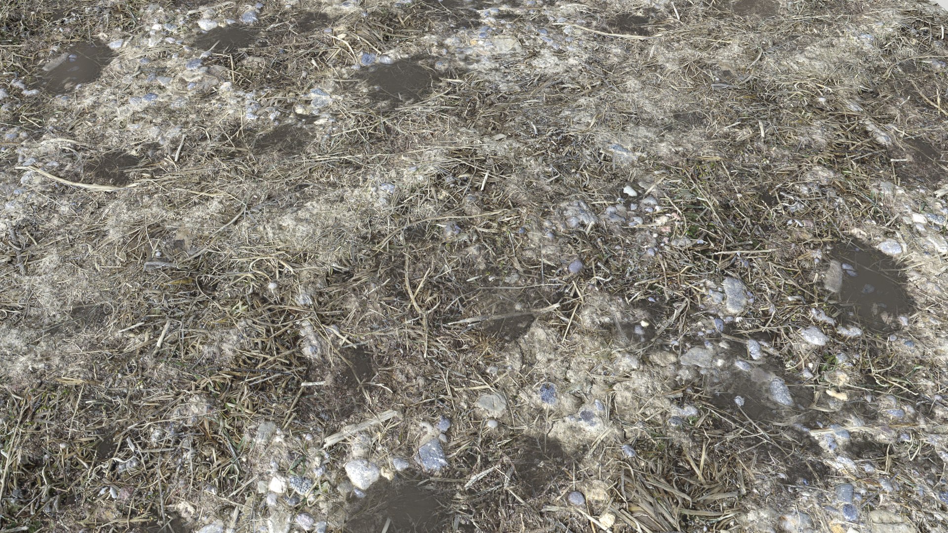 Muddy Terrain And Puddles 4 PBR 3D - TurboSquid 1724715