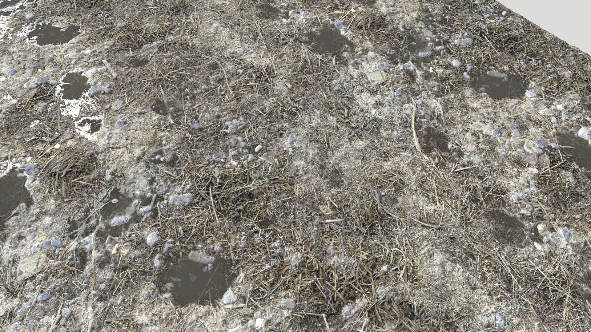 Muddy Terrain And Puddles 4 PBR 3D - TurboSquid 1724715