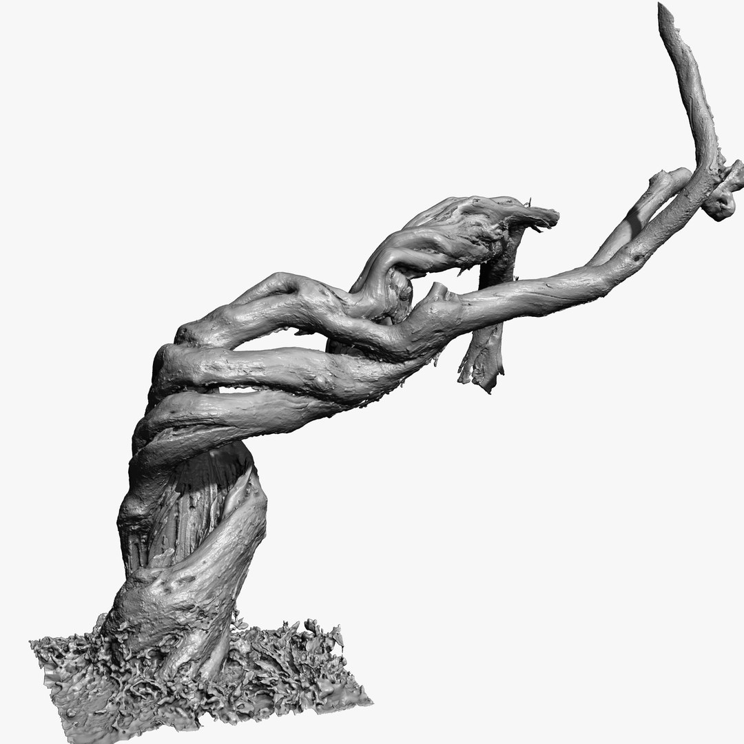 twisted cracked tree trunk 3d model