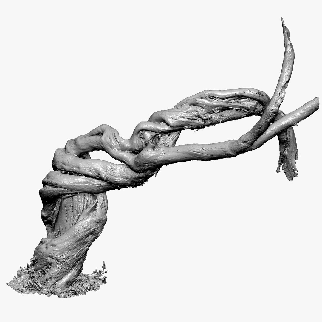 twisted cracked tree trunk 3d model