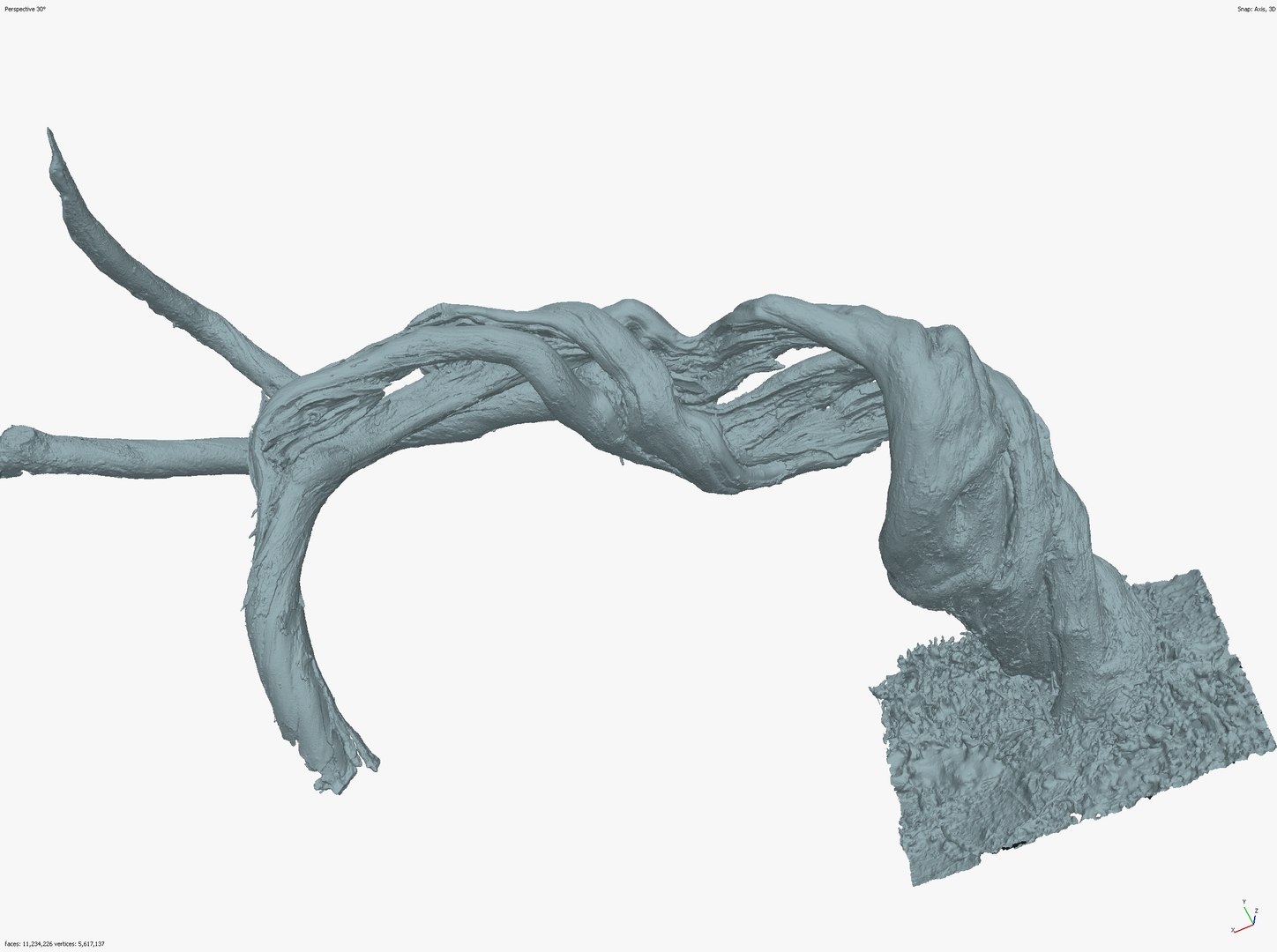 twisted cracked tree trunk 3d model