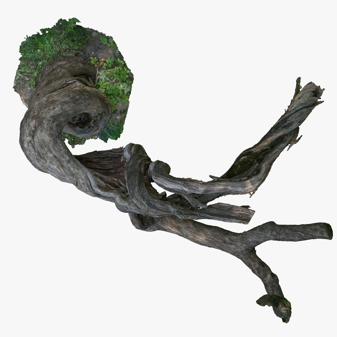 twisted cracked tree trunk 3d model