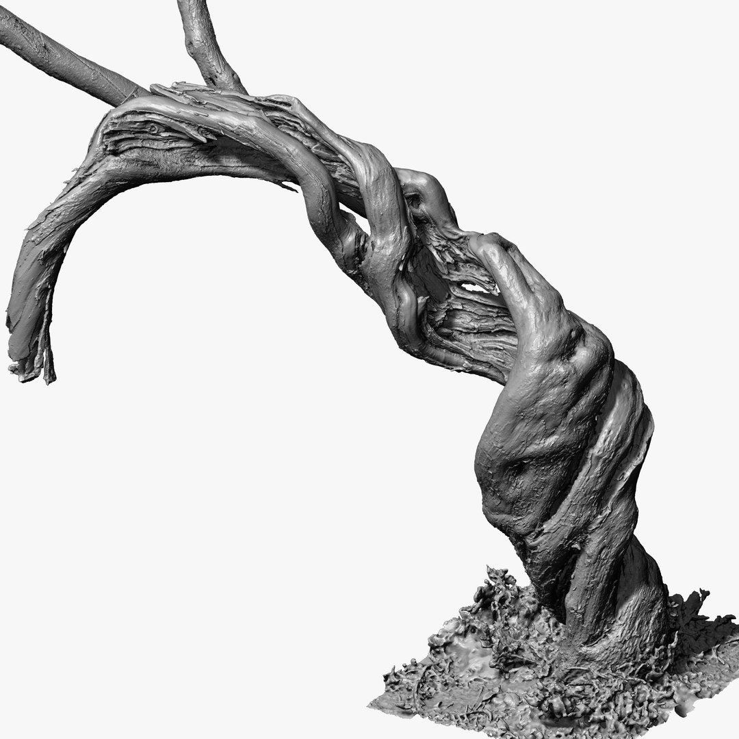 twisted cracked tree trunk 3d model