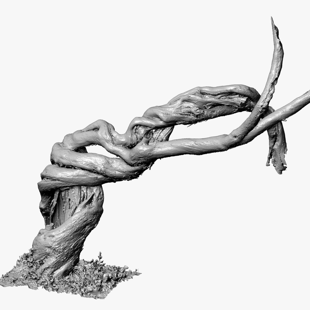 twisted cracked tree trunk 3d model