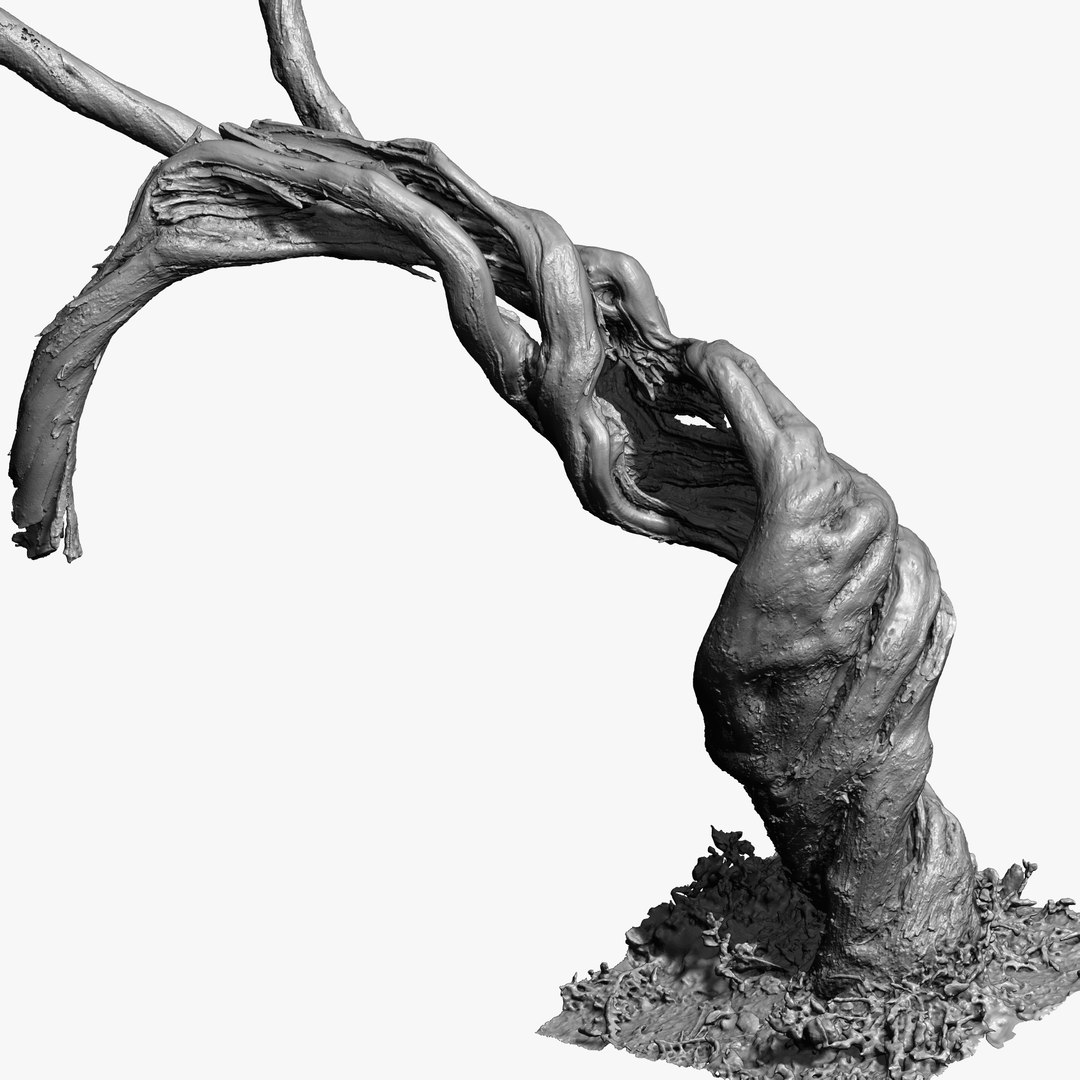 twisted cracked tree trunk 3d model