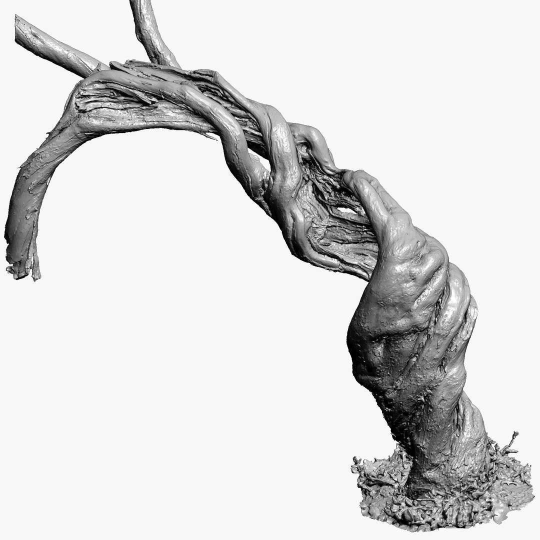 twisted cracked tree trunk 3d model