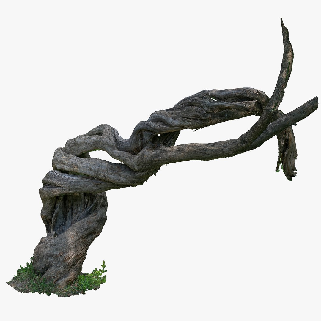 twisted cracked tree trunk 3d model