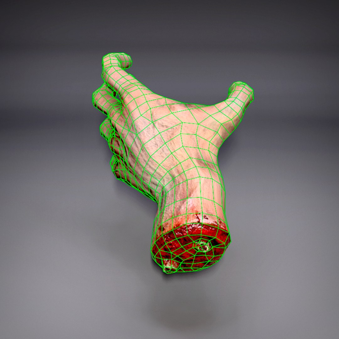Severed Hand 3D Model - TurboSquid 1449246